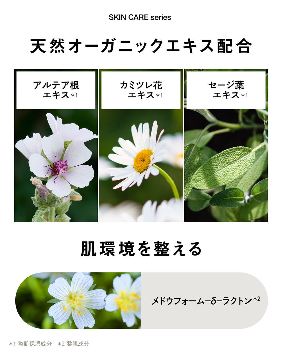 BF セラム｜better future® – 【公式】better future®-ダチョウ抗体